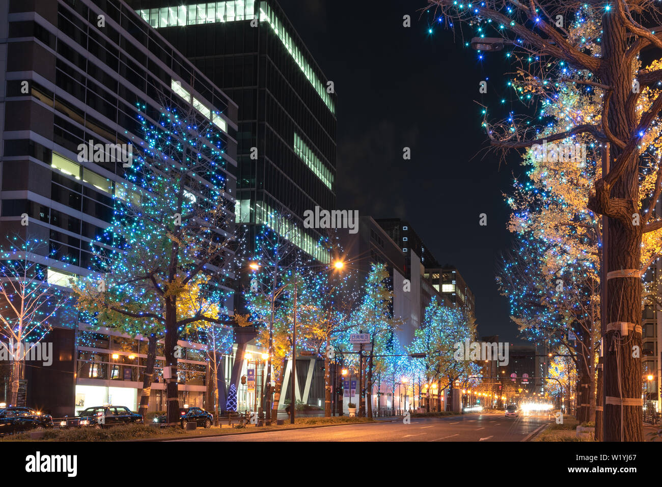 Festival of the Lights in Osaka. The winter illumination events ...