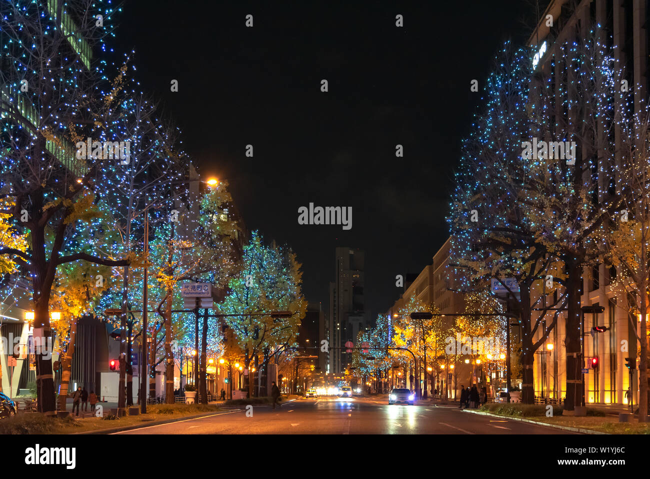 Festival of the Lights in Osaka. The winter illumination events ...