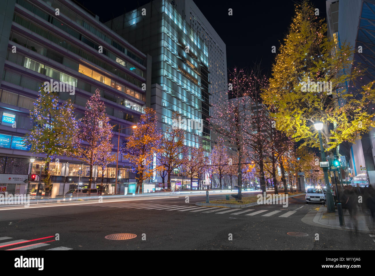 Festival of the Lights in Osaka. The winter illumination events ...