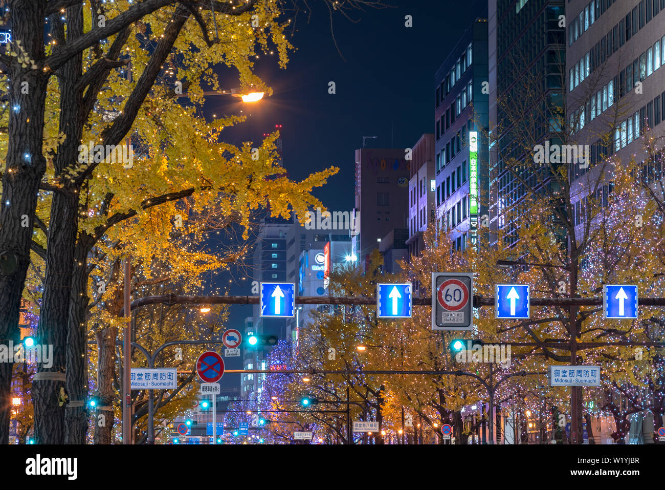 Festival of the Lights in Osaka. The winter illumination events ...