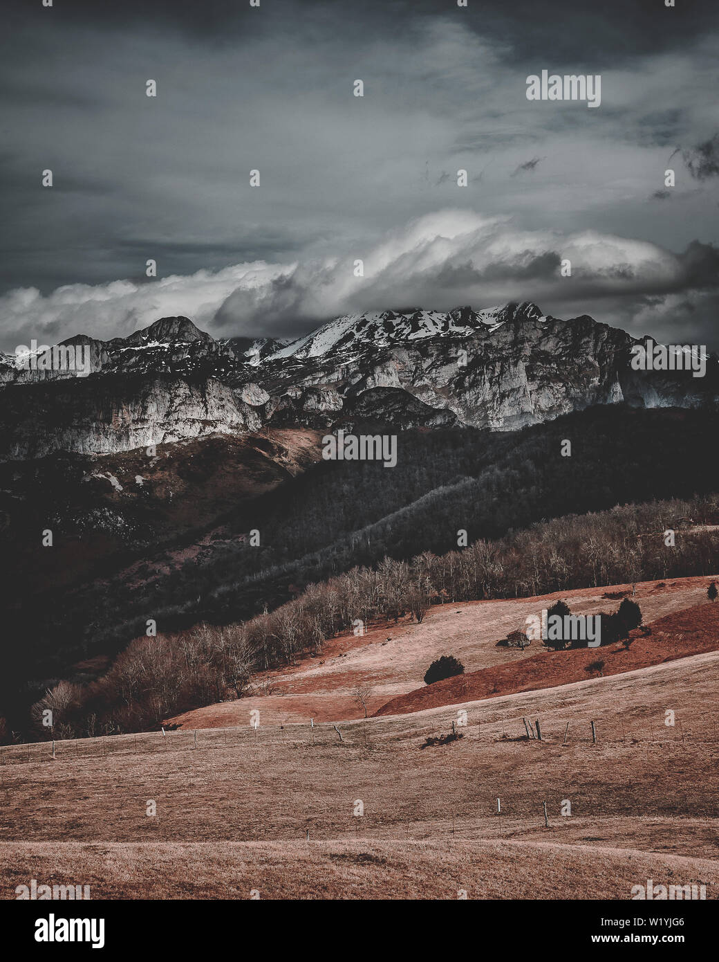 Mirador de les Bedules, peaks of Europe, natural park of Ponga ...