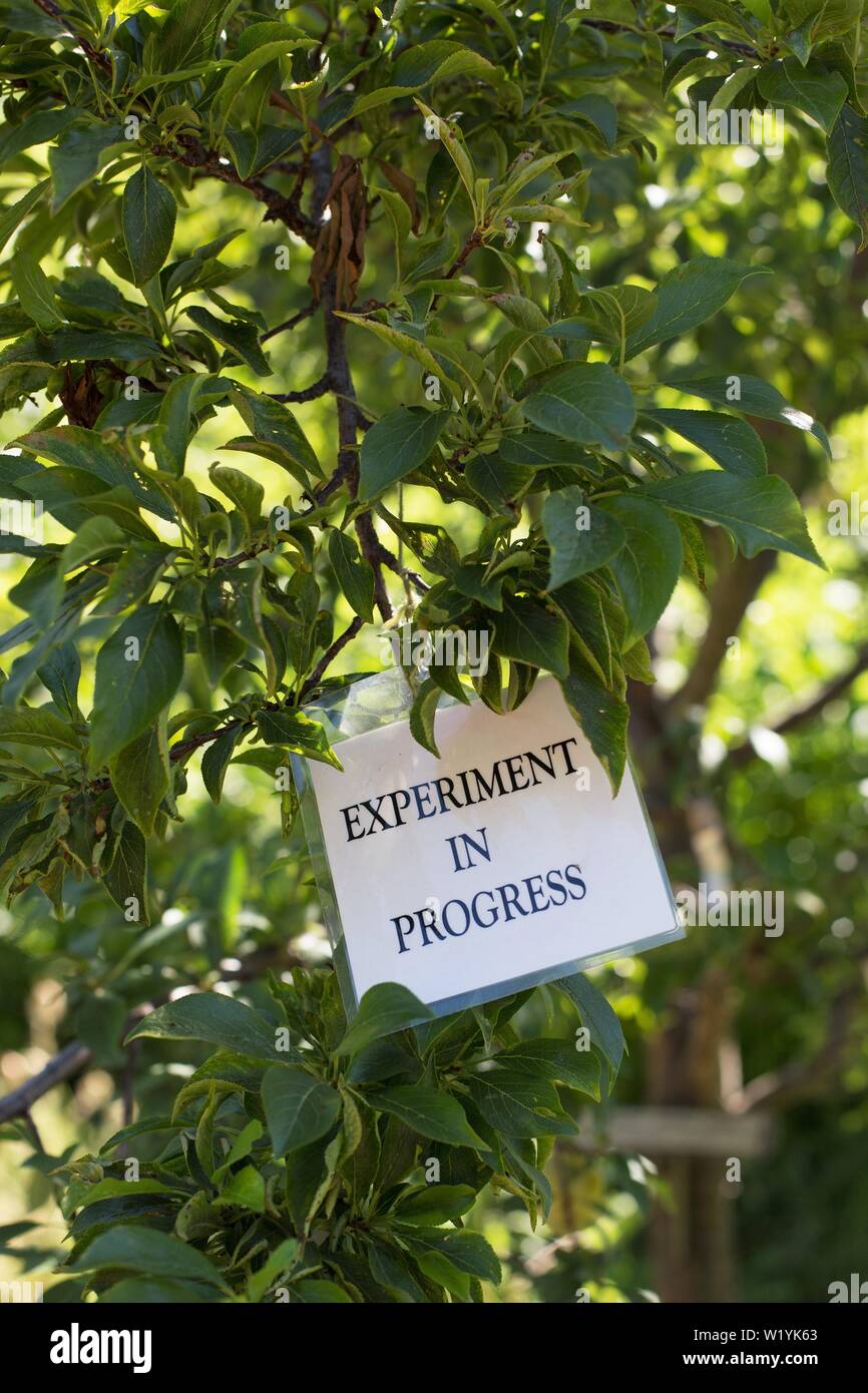 Experiment in progress hi-res stock photography and images - Alamy