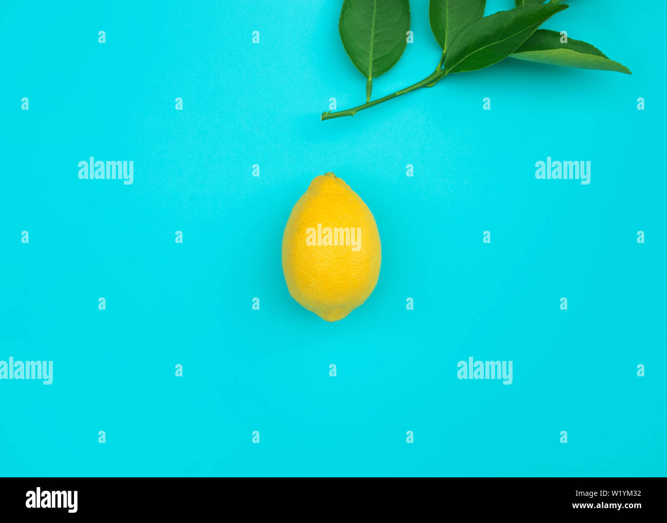 Top view of lemon and leaves on blue color background.concepts ideas of ...