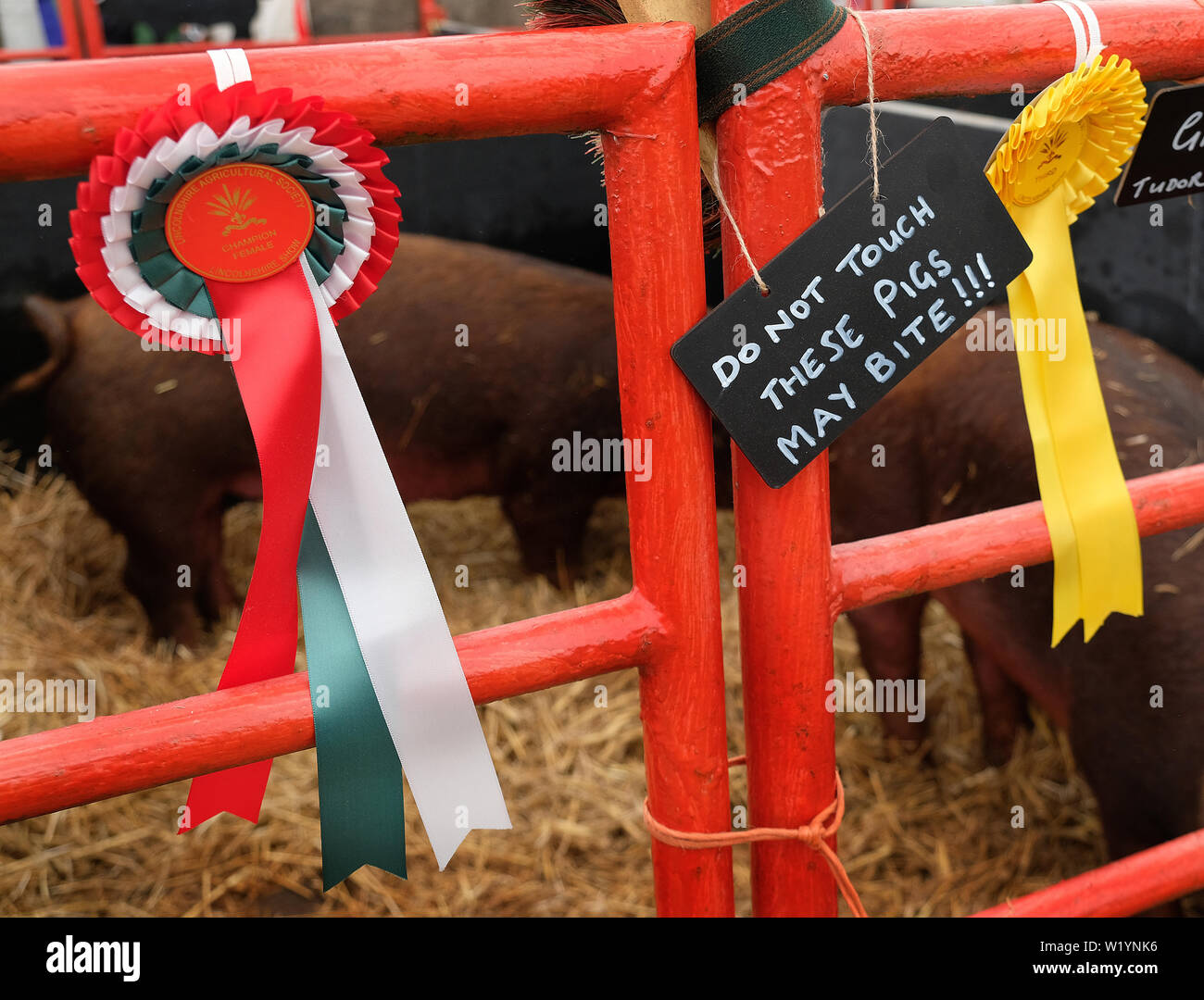 Safety notice at agricultural show. Pigs may bite Stock Photo - Alamy