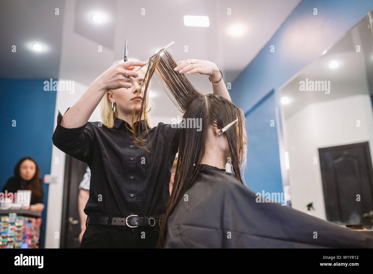 Haircutting in process hi-res stock photography and images - Alamy