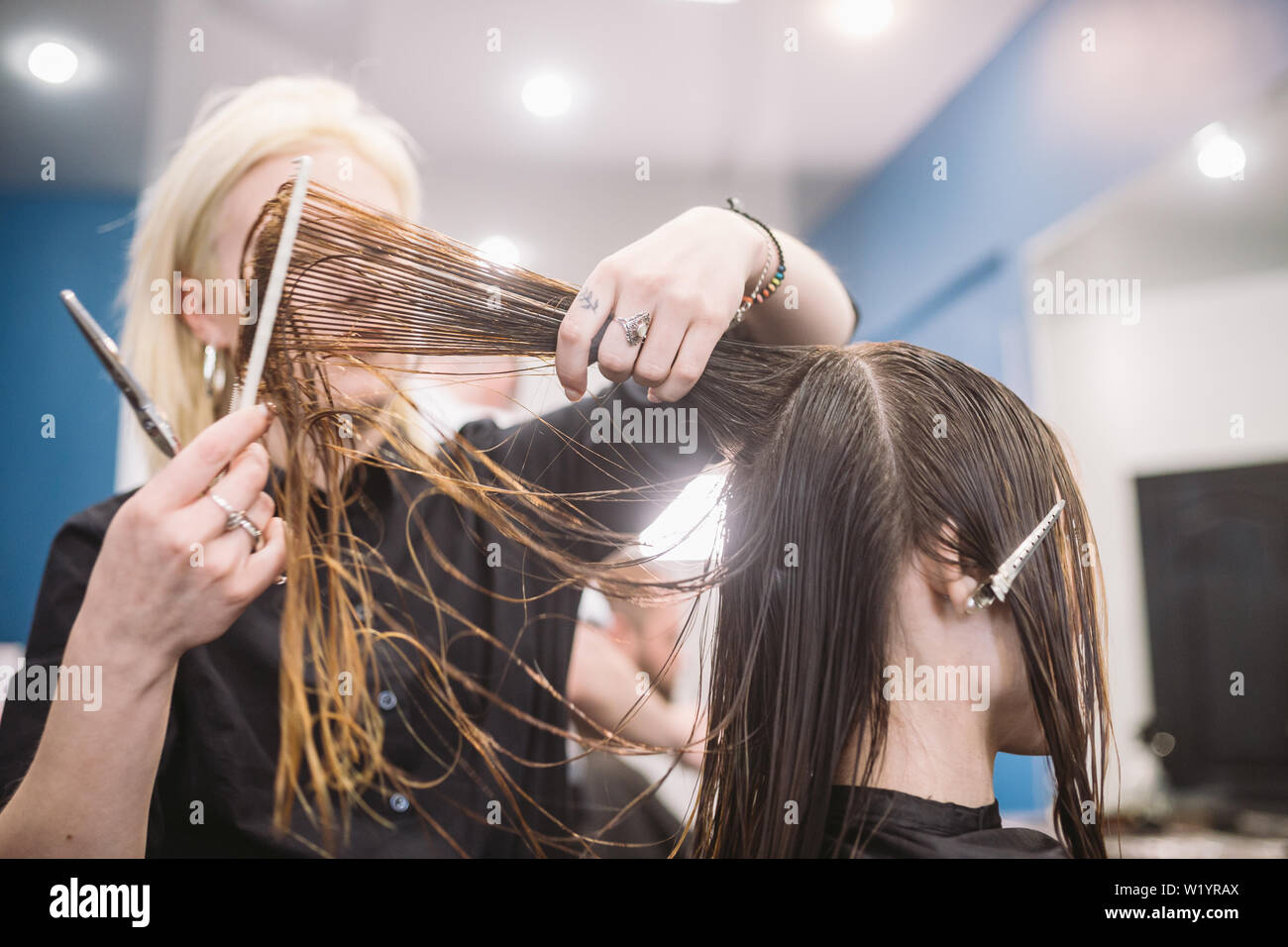 hairdresser holding scissors and comb and makes haircut woman client ...