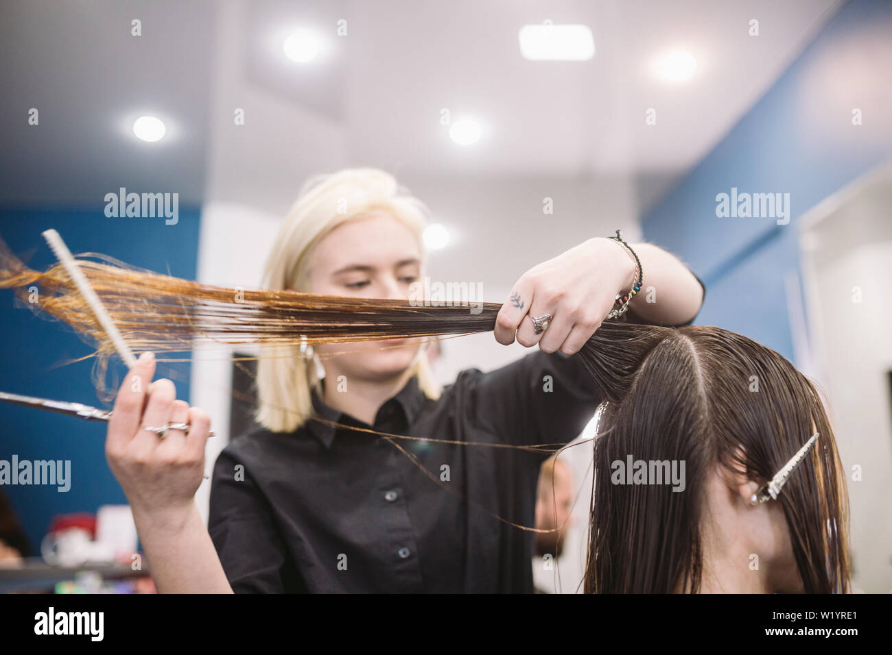 hairdresser holding scissors and comb and makes haircut woman client ...