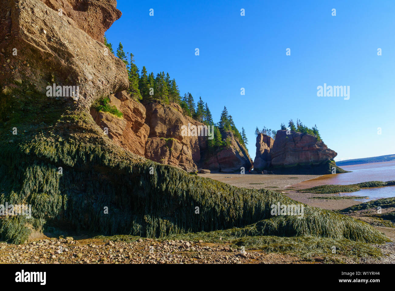 New brunswick tide hi-res stock photography and images - Alamy