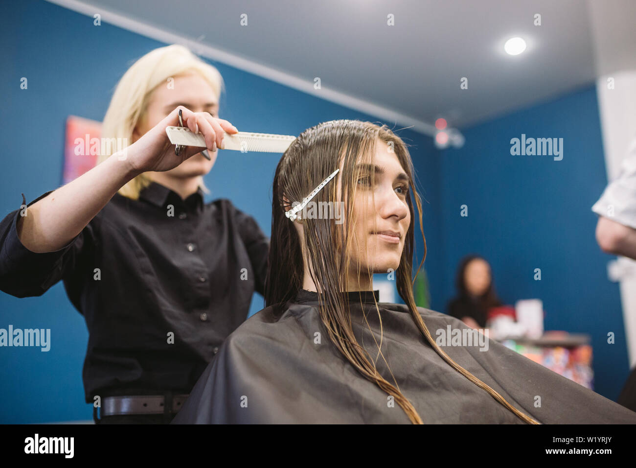 hairdresser holding scissors and comb and makes haircut woman client ...