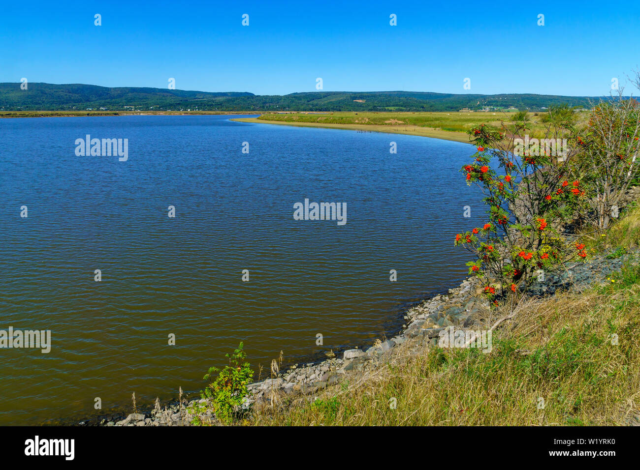 Shepody New Brunswick High Resolution Stock Photography and Images - Alamy