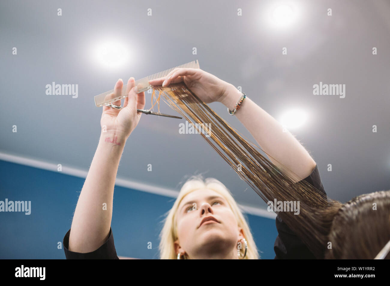 hairdresser holding scissors and comb and makes haircut woman client ...