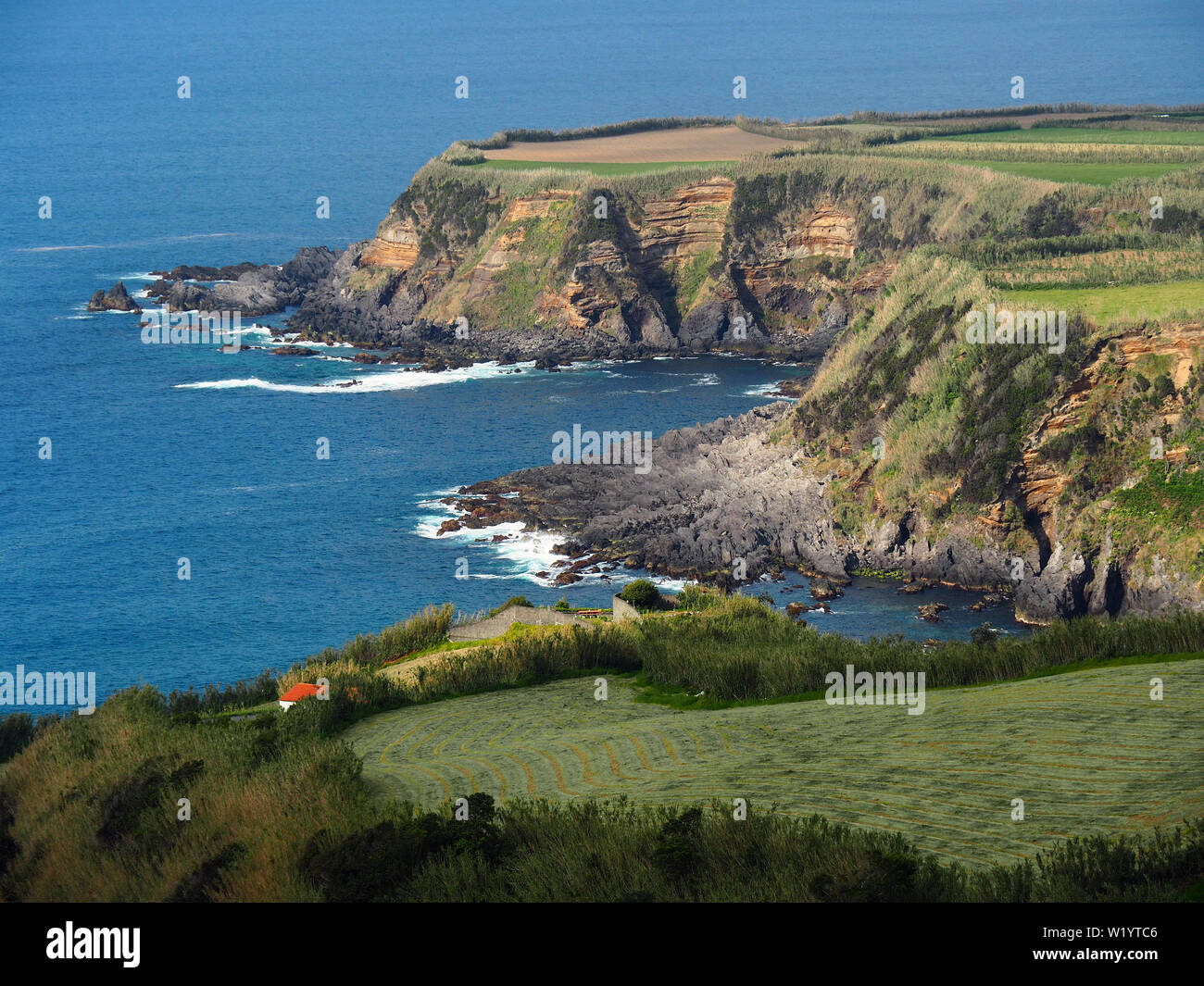 Typical Azores landscape, São Miguel Island, Azores, Açores Stock Photo ...