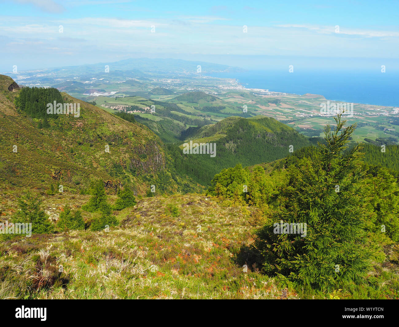 Typical Azores landscape, São Miguel Island, Azores, Açores Stock Photo ...
