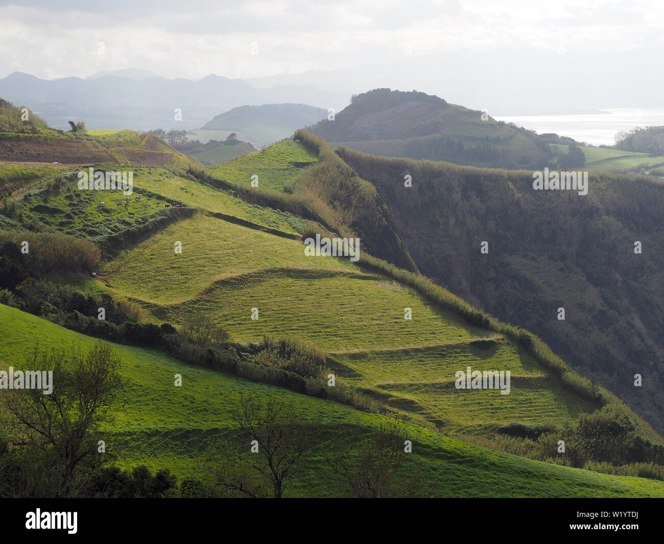 Typical Azores landscape, São Miguel Island, Azores, Açores Stock Photo ...