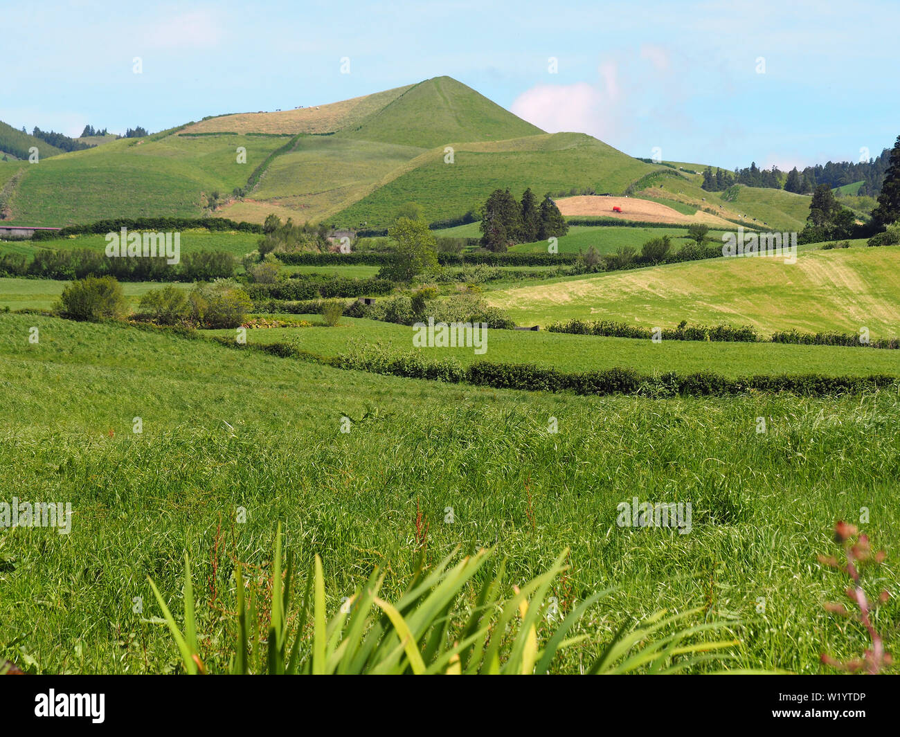 Typical Azores landscape, São Miguel Island, Azores, Açores Stock Photo ...