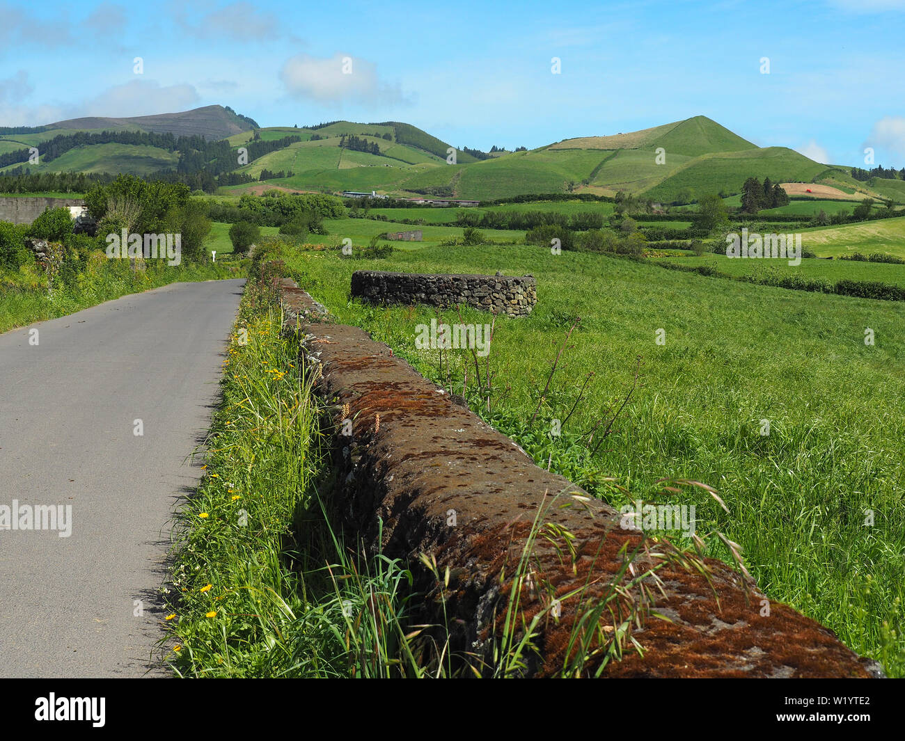 Typical Azores landscape, São Miguel Island, Azores, Açores Stock Photo ...