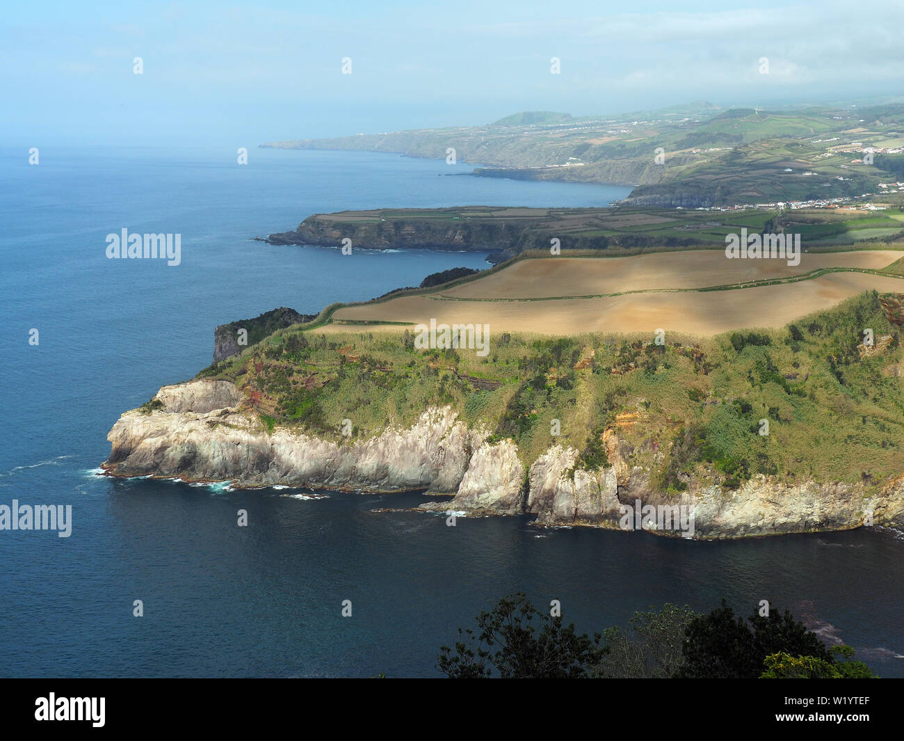 Typical Azores landscape, São Miguel Island, Azores, Açores Stock Photo ...