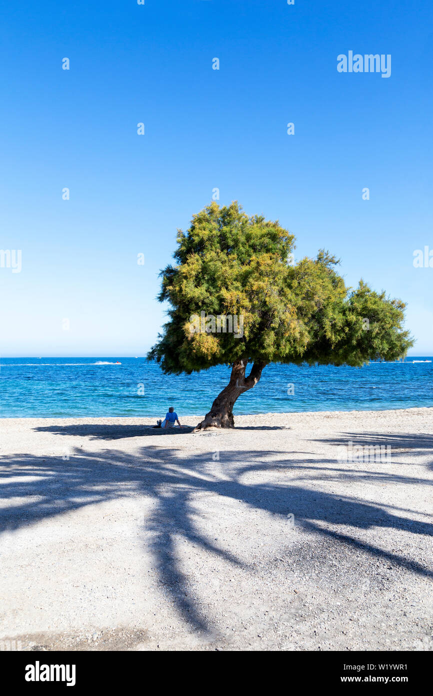 Man relaxing under a tree on the beach in Spain Stock Photo - Alamy