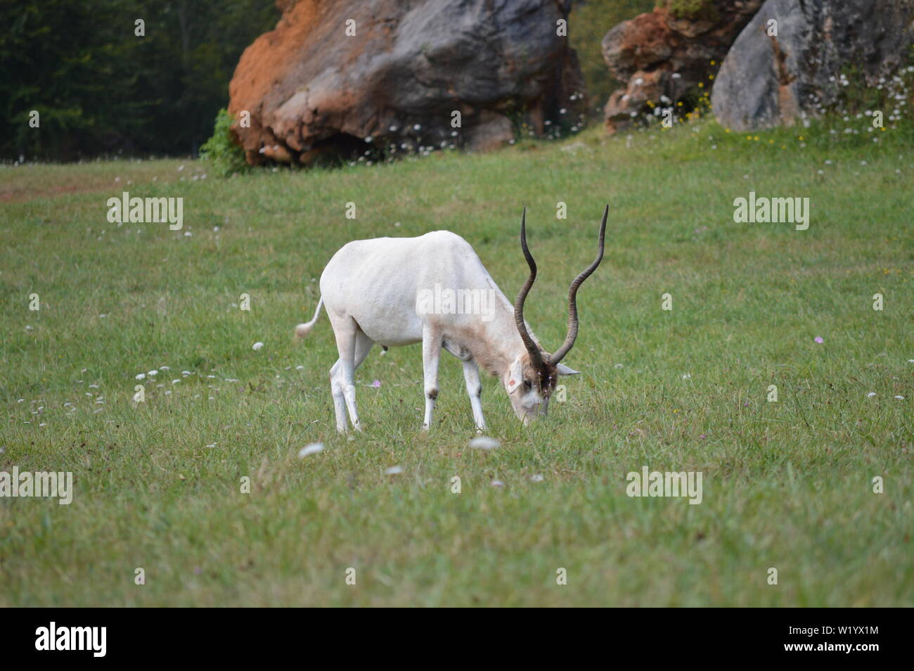 Antelope mine hi-res stock photography and images - Alamy