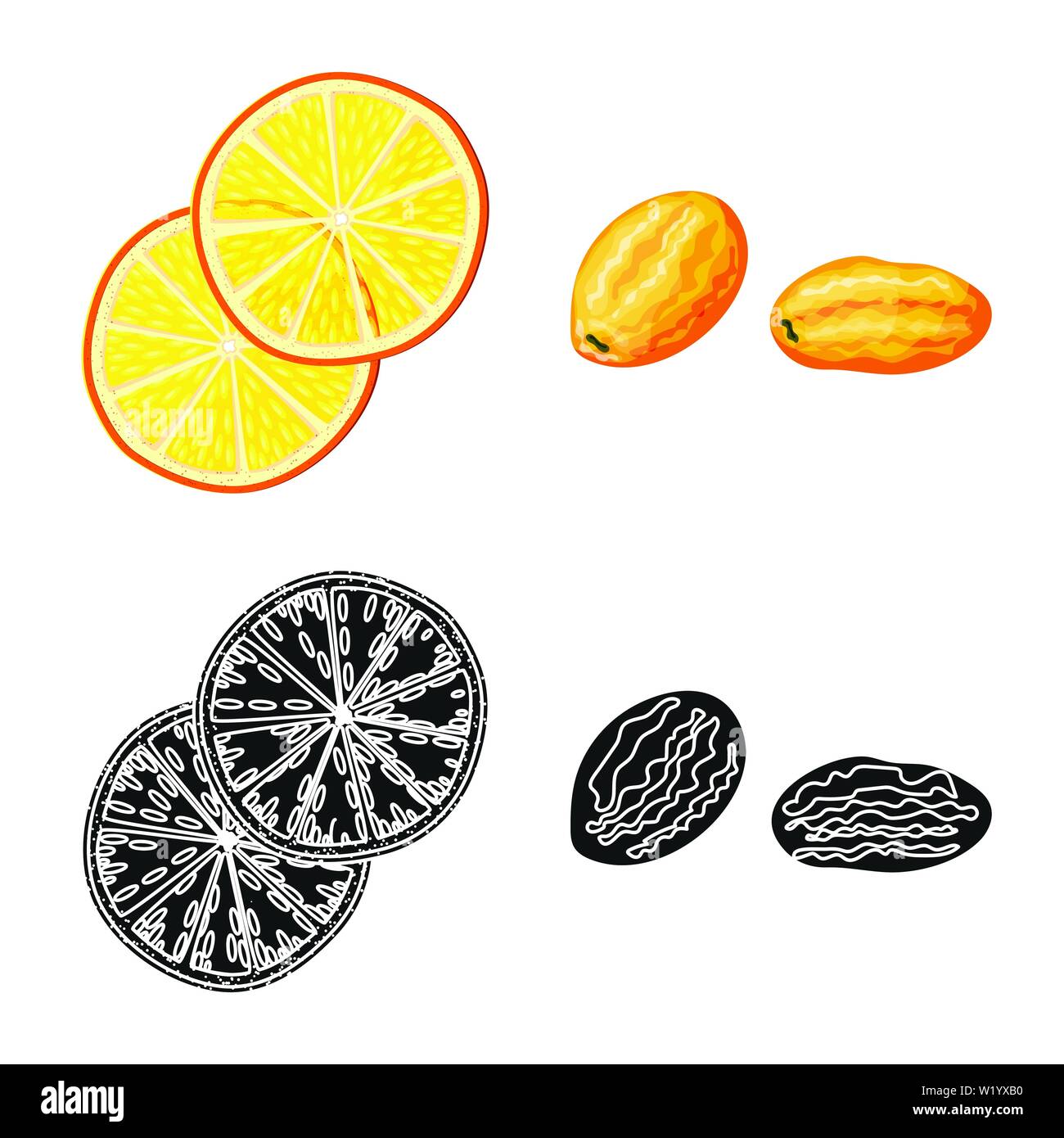 Vector illustration of food and raw logo. Set of food and nature vector ...