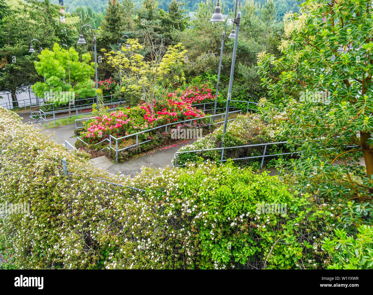 Flowers grow around an access ramp at John Block Park in Seattle ...