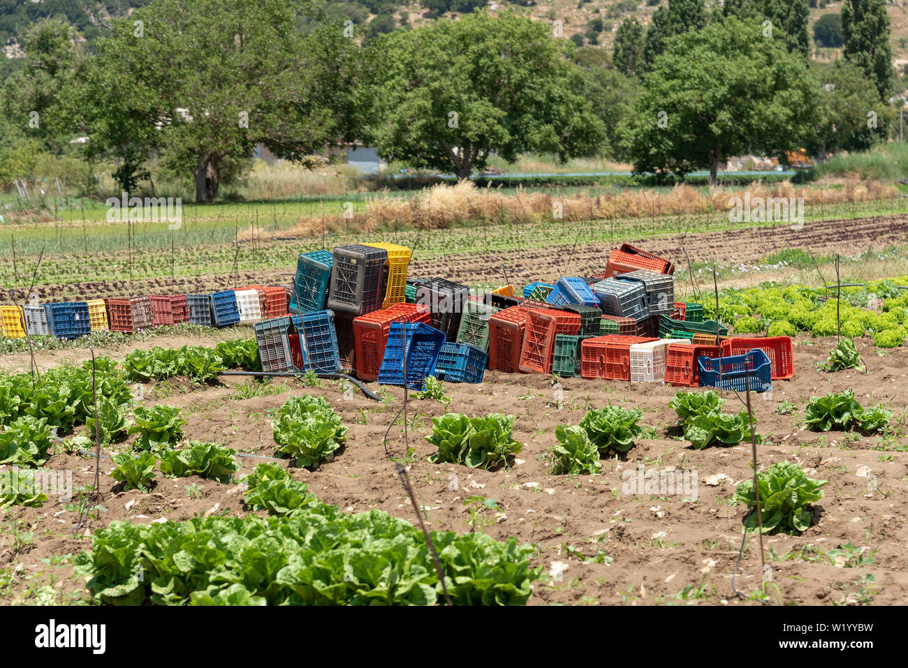 Plastic boxes hi-res stock photography and images - Alamy