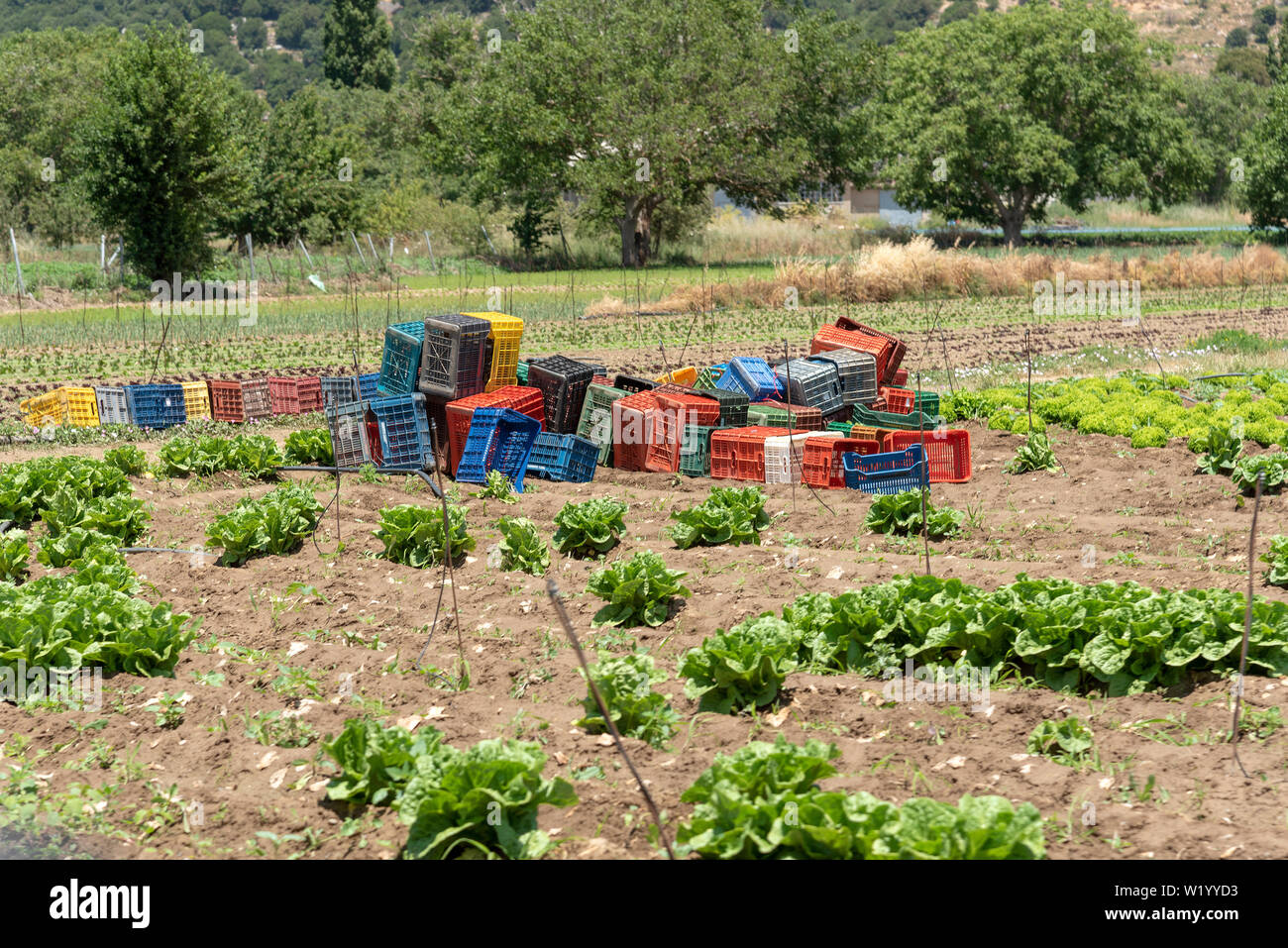 Plastic boxes hi-res stock photography and images - Alamy
