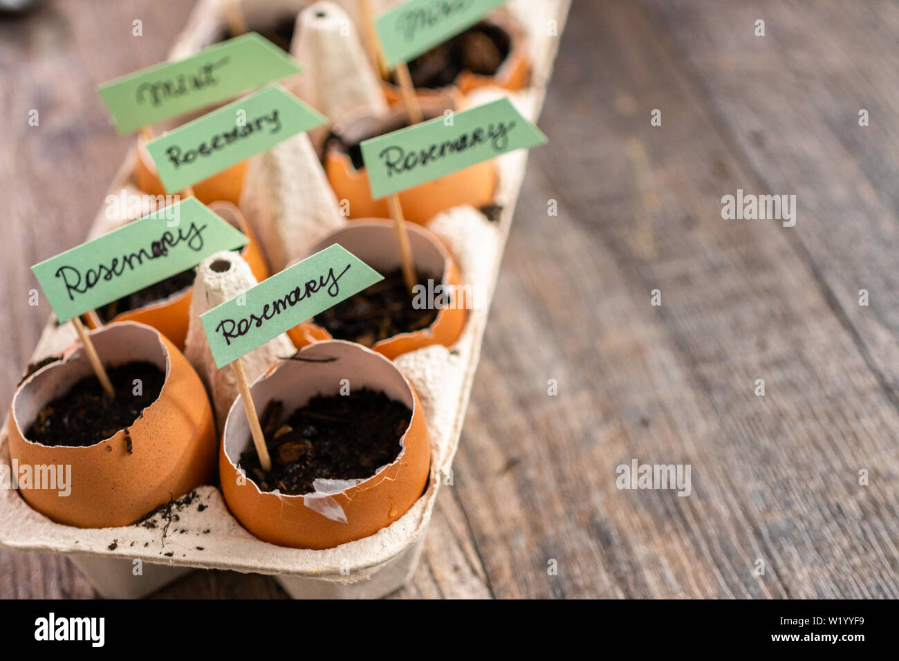 Planting seeds labeling hi-res stock photography and images - Alamy
