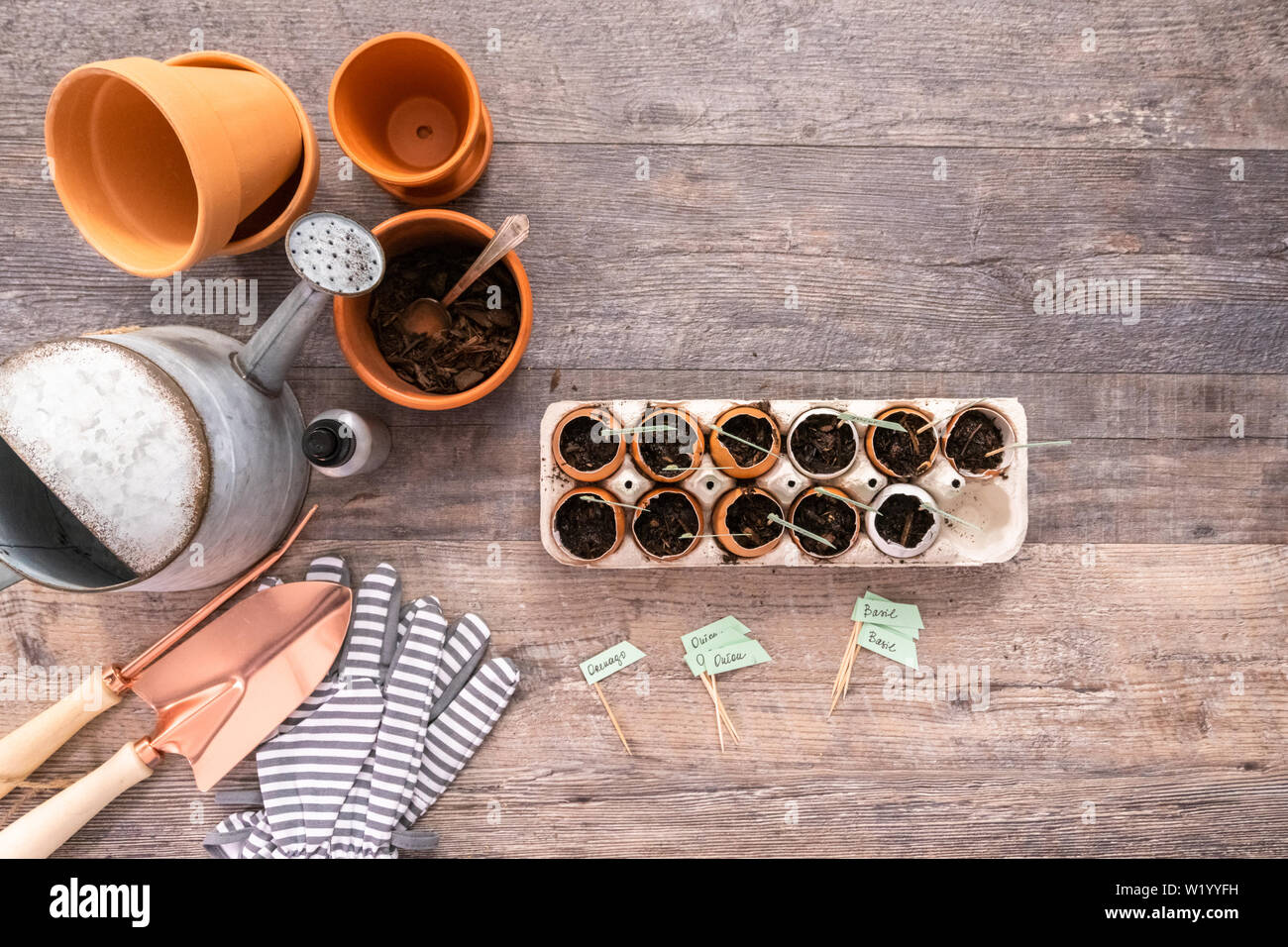 Flat lay. Plantings seeds in eggshells and labeling them with small ...
