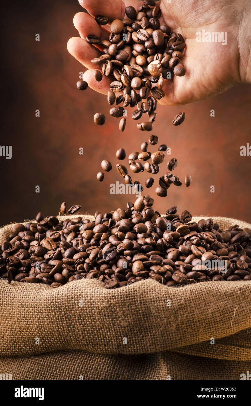 roasted coffee beans dropped from a hand in a jute sack Stock Photo - Alamy
