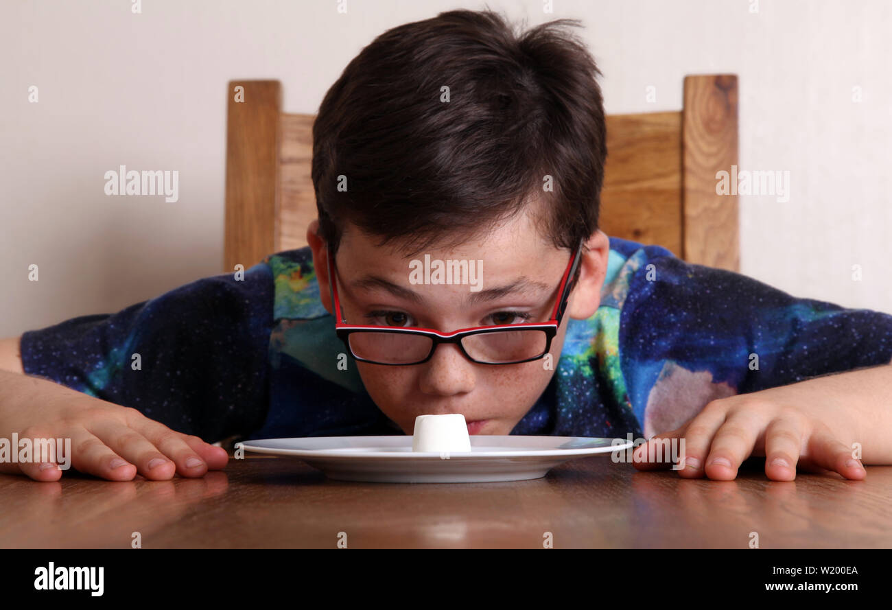 The Marshmallow Experiment - Child sitting at a table, patiently ...