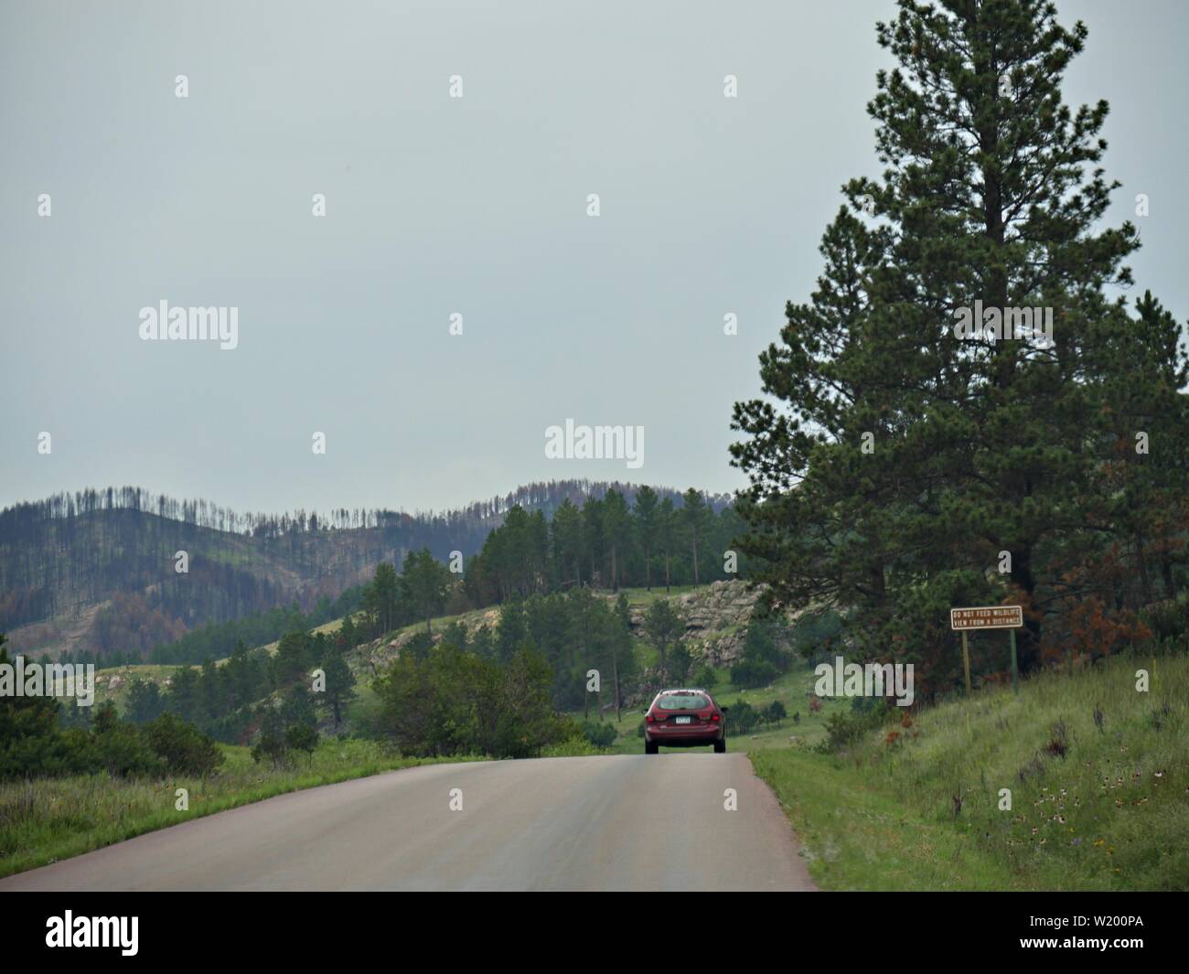 Custer County, South Dakota--July 2018: Scenic drive along a paved road ...