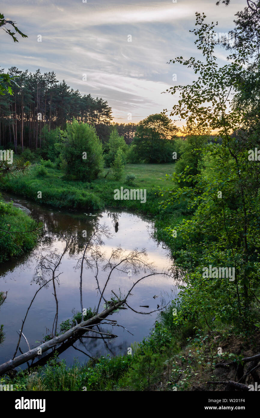 Mysterious River Grabia in spring day, Poland Stock Photo - Alamy