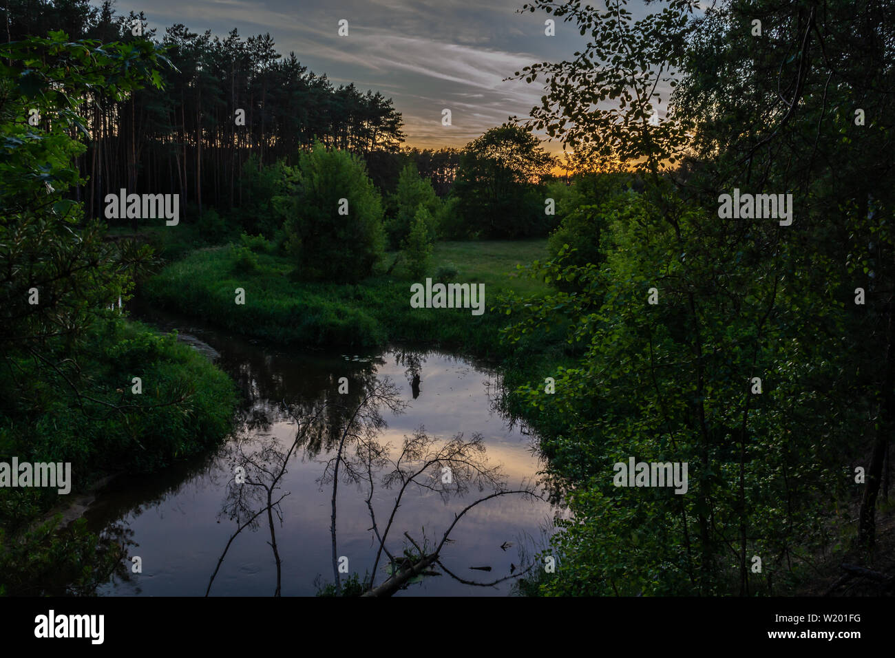Mysterious River Grabia in spring day, Poland Stock Photo - Alamy