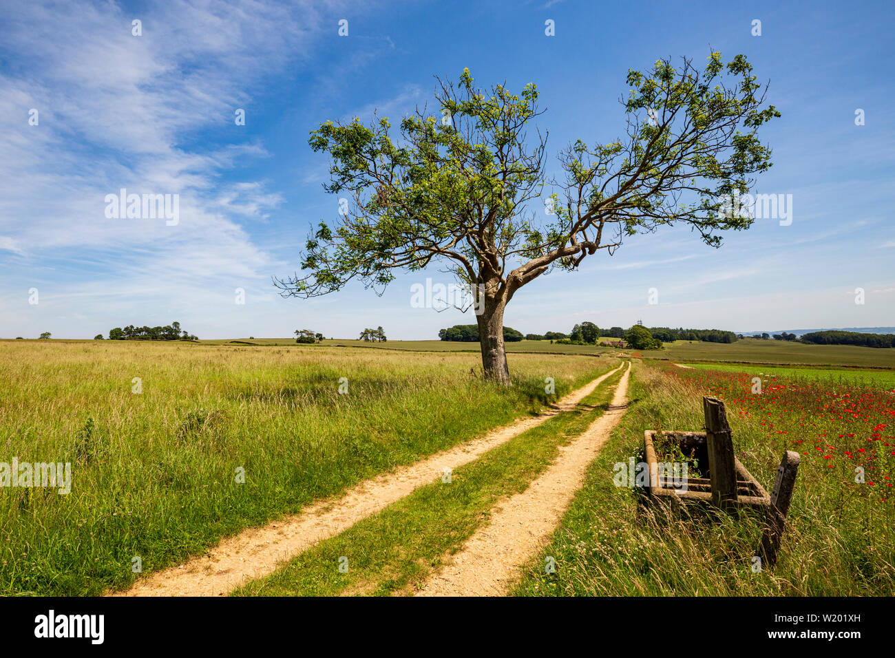 Old water trough hi-res stock photography and images - Alamy