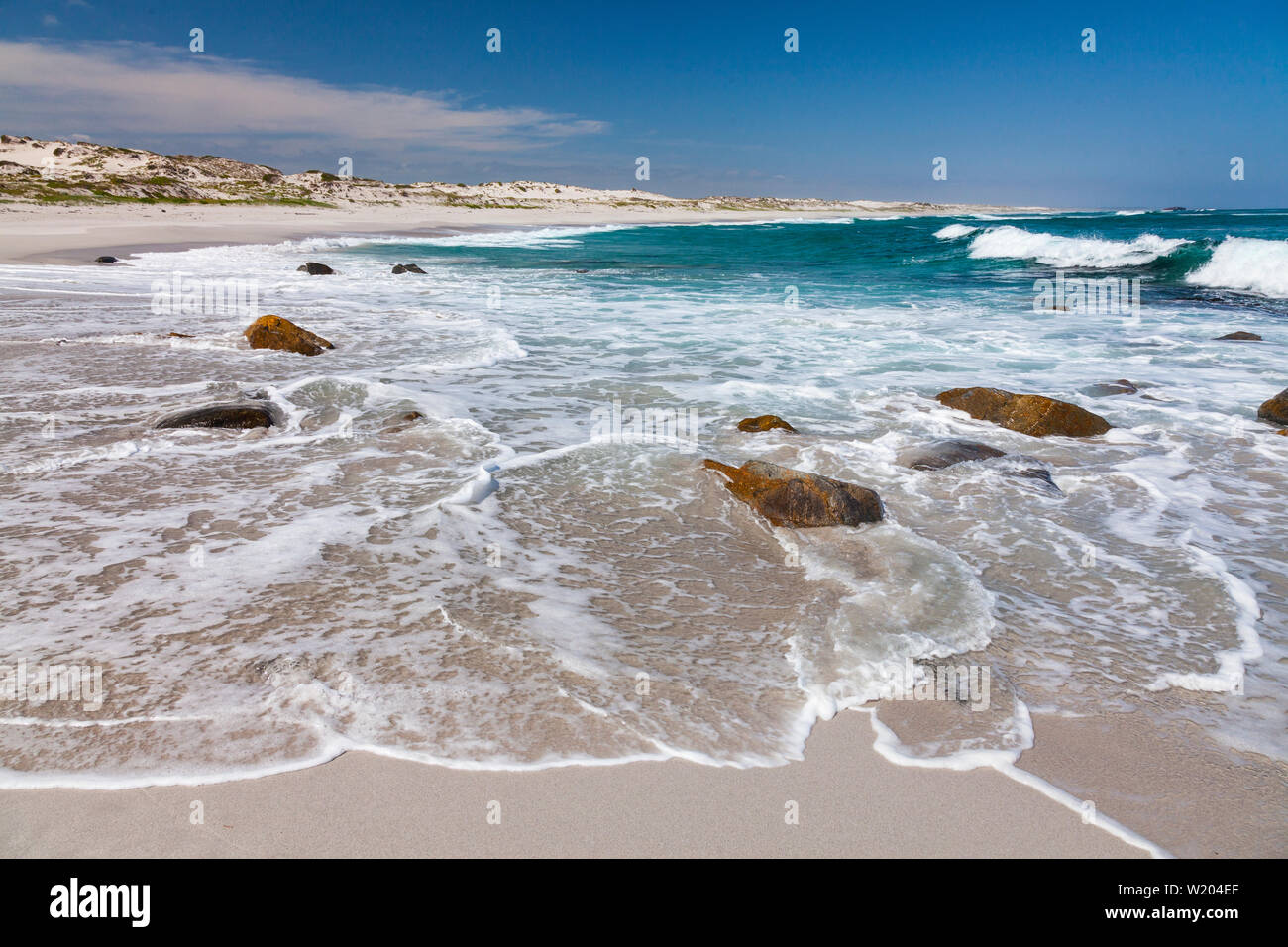 Postberg Trail, West Coast National Park, Western Cape province, South ...
