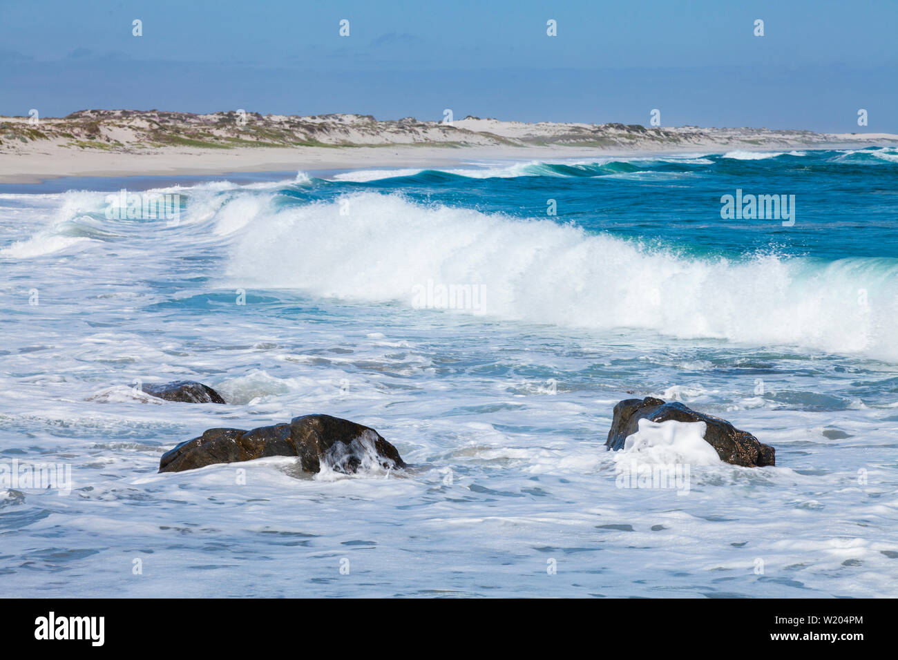 Postberg Trail, West Coast National Park, Western Cape province, South ...