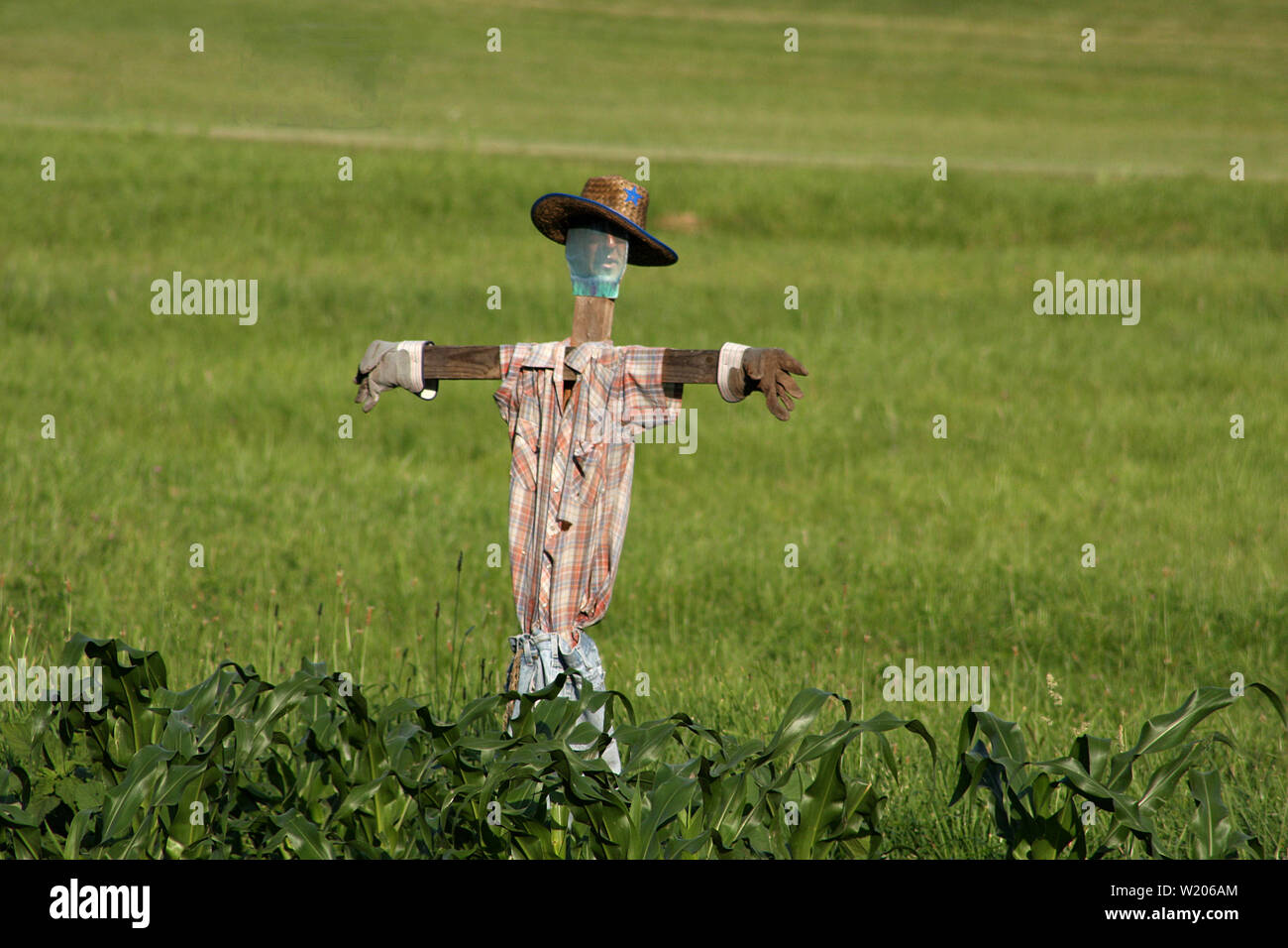 Human scarecrow hi-res stock photography and images - Alamy