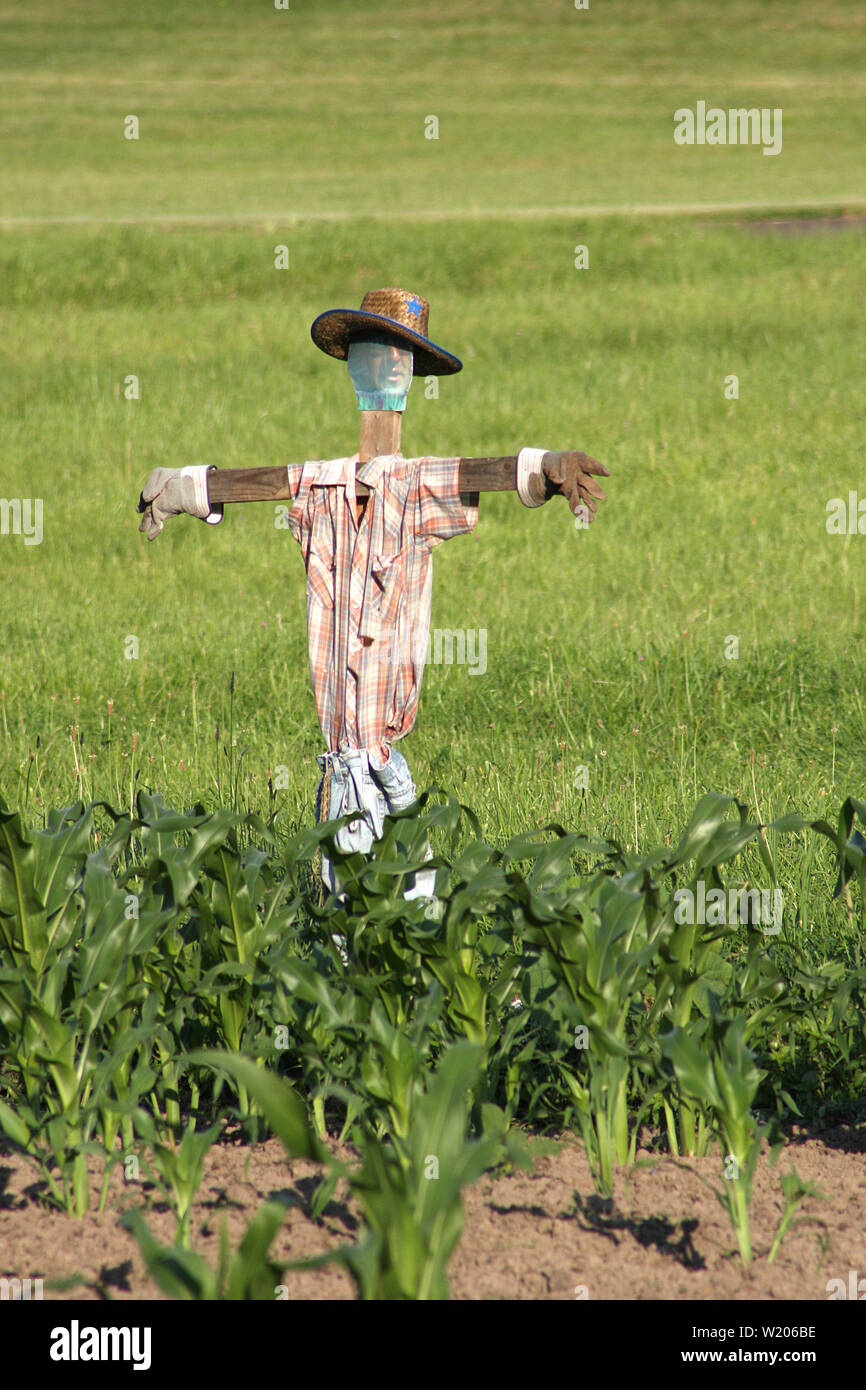 Human scarecrow hi-res stock photography and images - Alamy