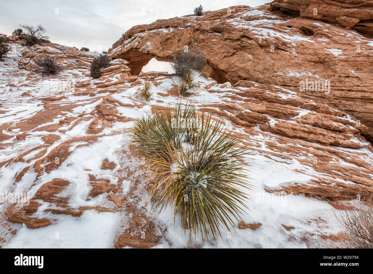 Classic view of famous Mesa Arch, symbol of the American Southwest ...