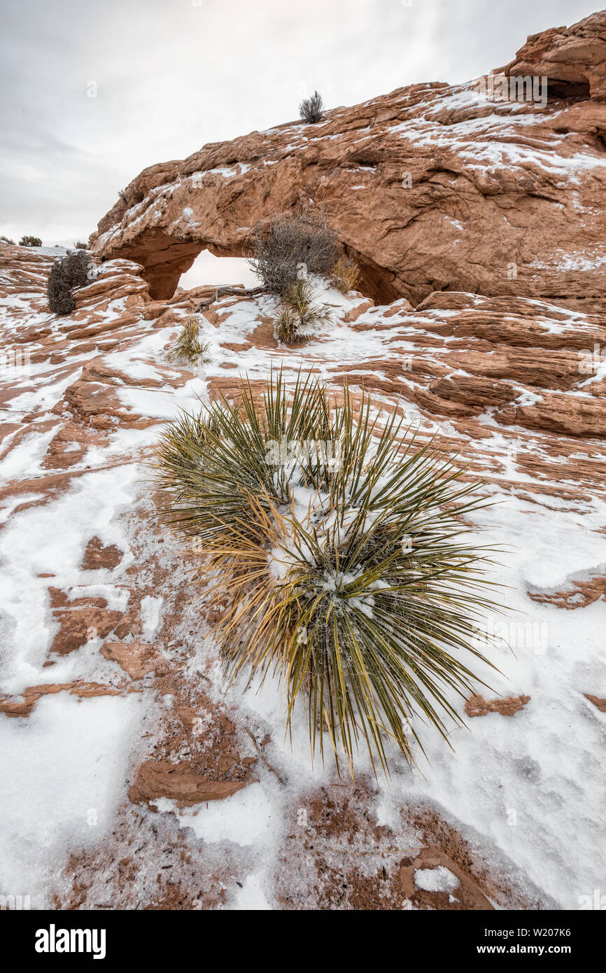 Classic view famous mesa hi-res stock photography and images - Alamy