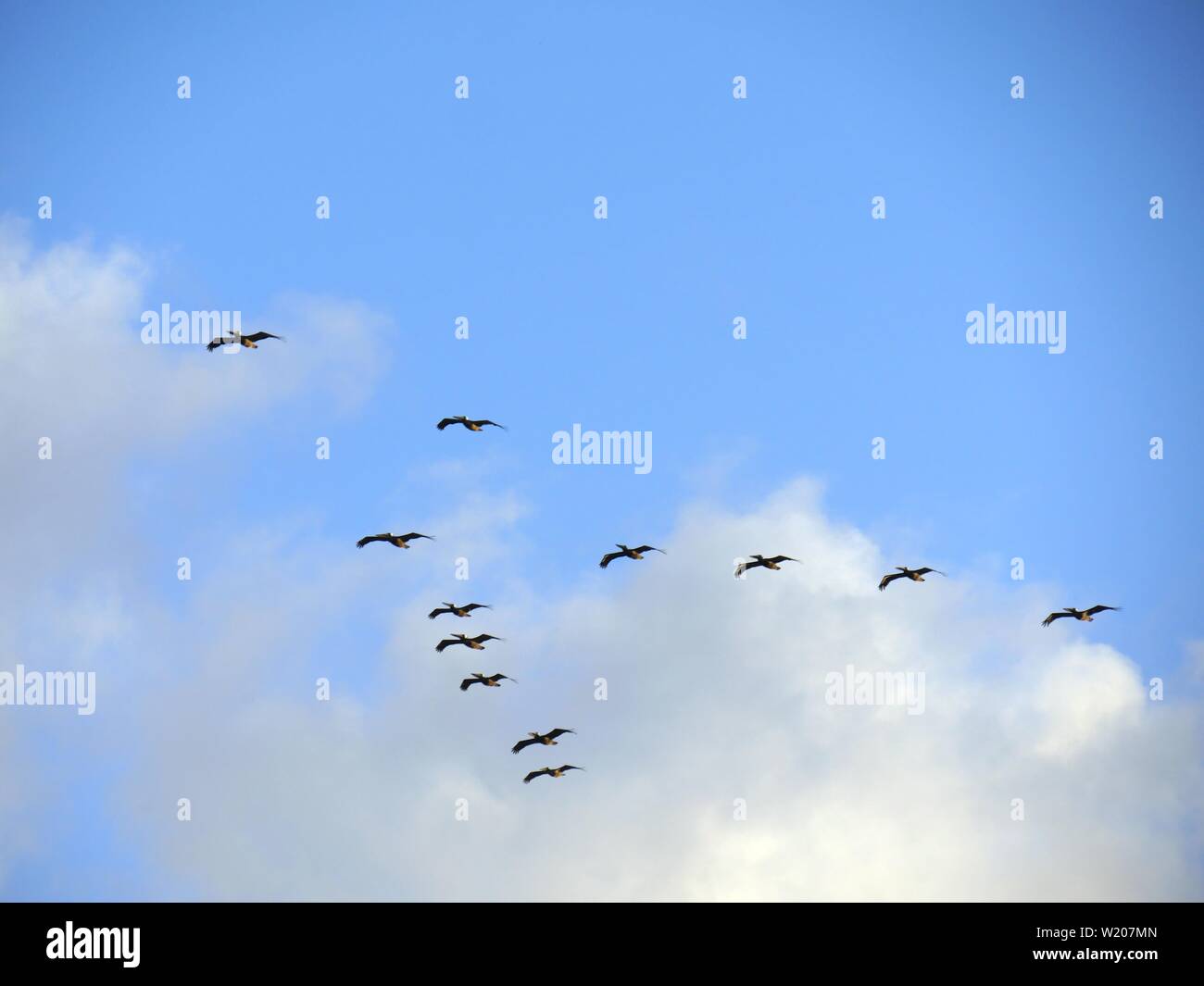 Dove spring formation hi-res stock photography and images - Alamy