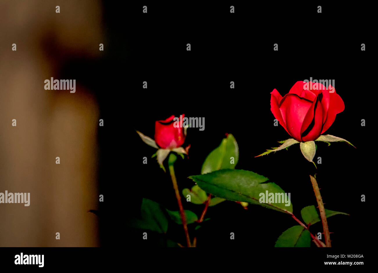 Red glow hi-res stock photography and images - Alamy