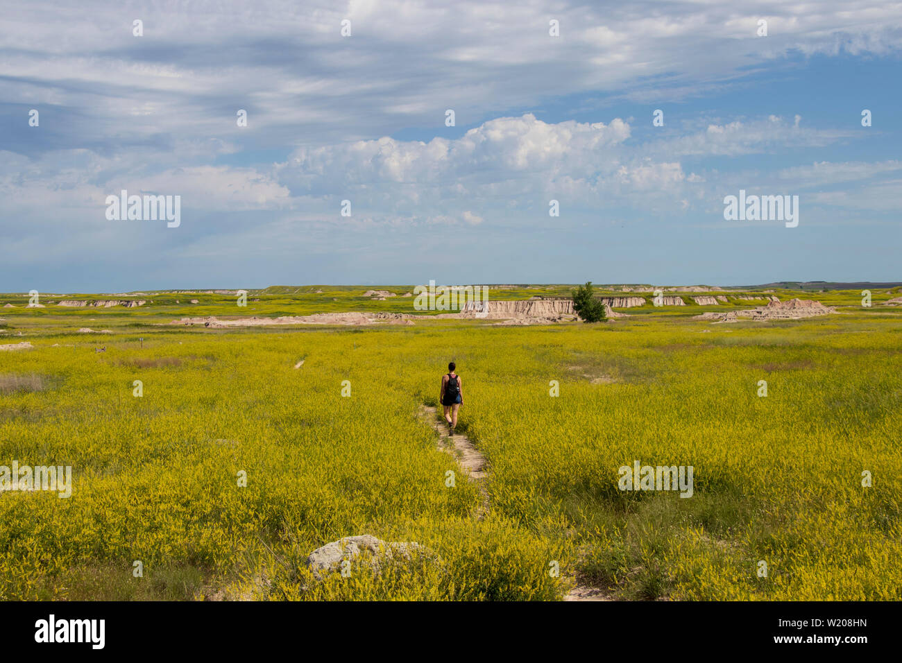 Woman hiking solo in hi-res stock photography and images - Alamy
