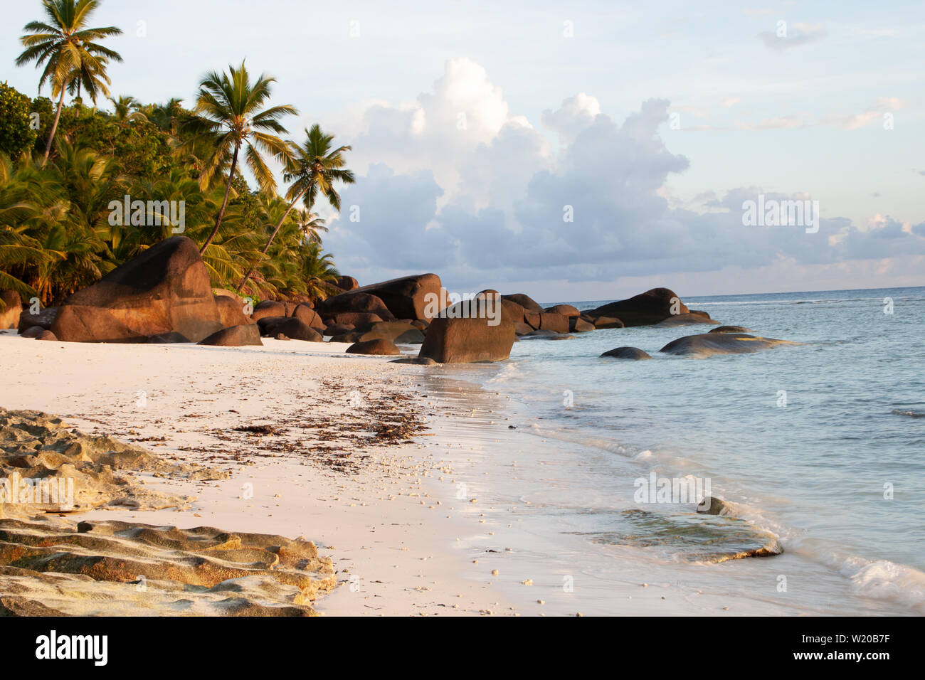 Beautiful beach in Seychelles with rocks and palm trees, blue Indian ...