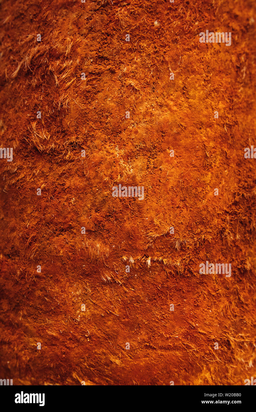 Abstract rawhide or raw leather texture background pattern surface. Sheep, goat or cow animal ...