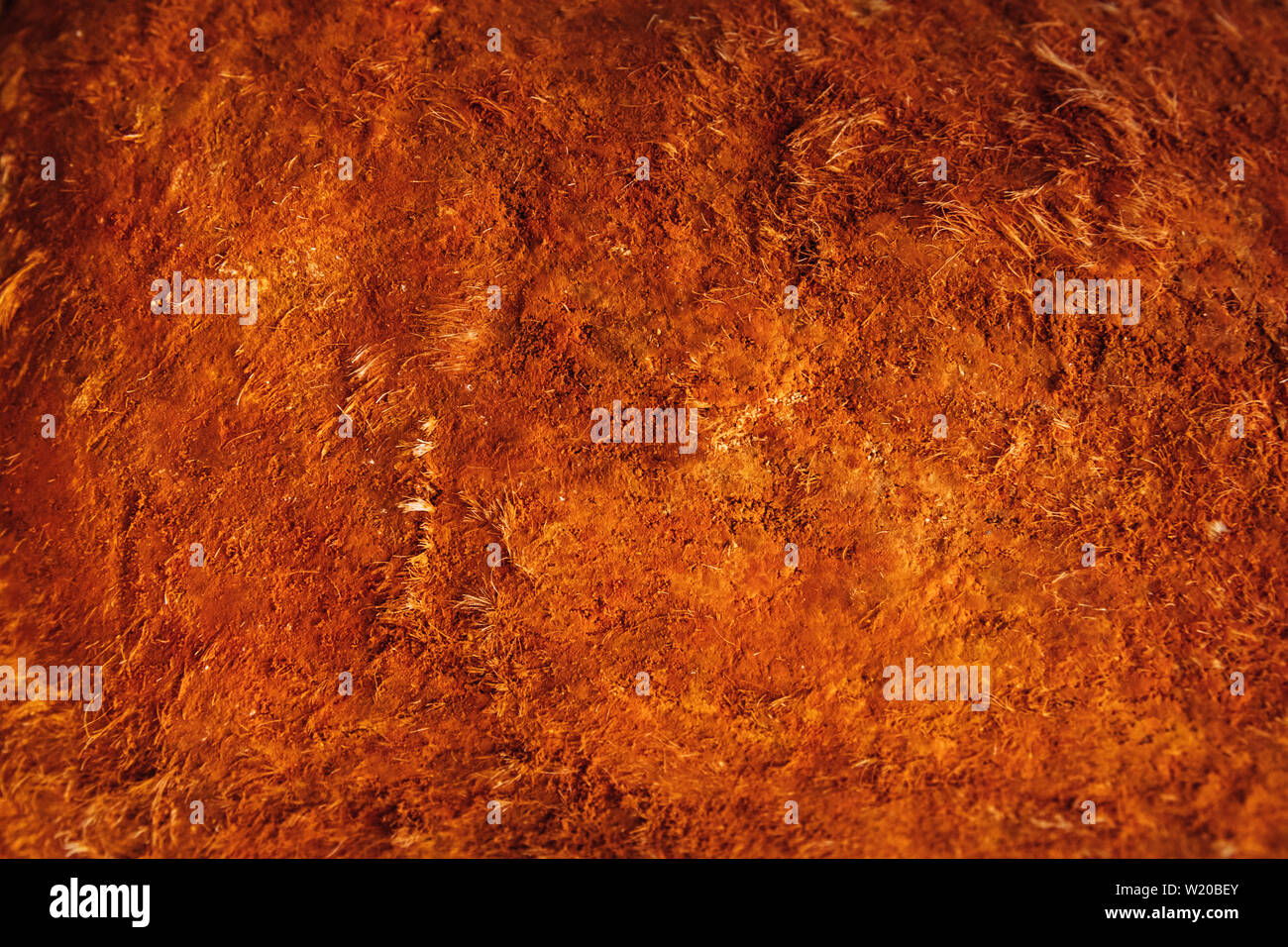 Raw leather hi-res stock photography and images - Alamy