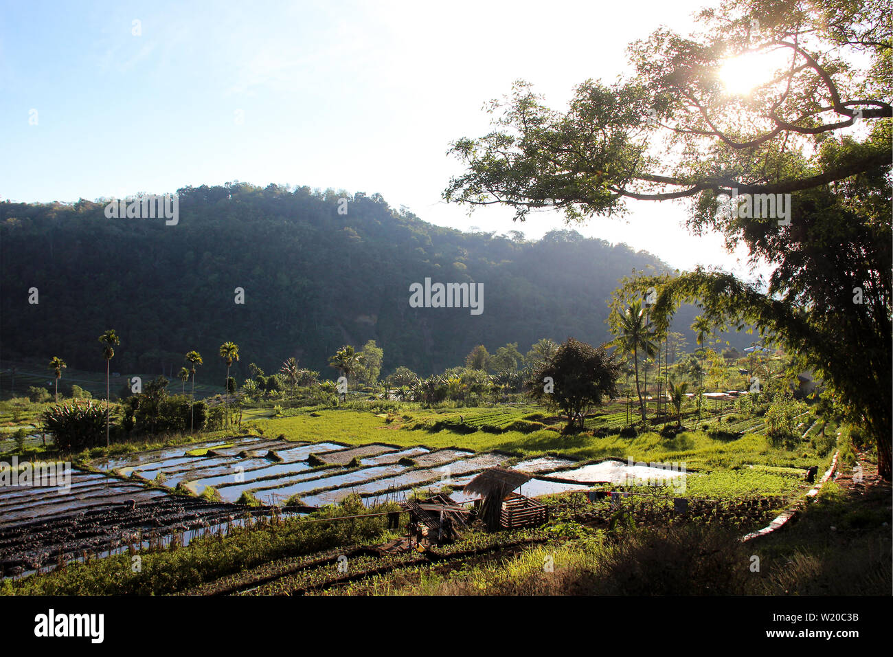 Rural asia hi-res stock photography and images - Alamy