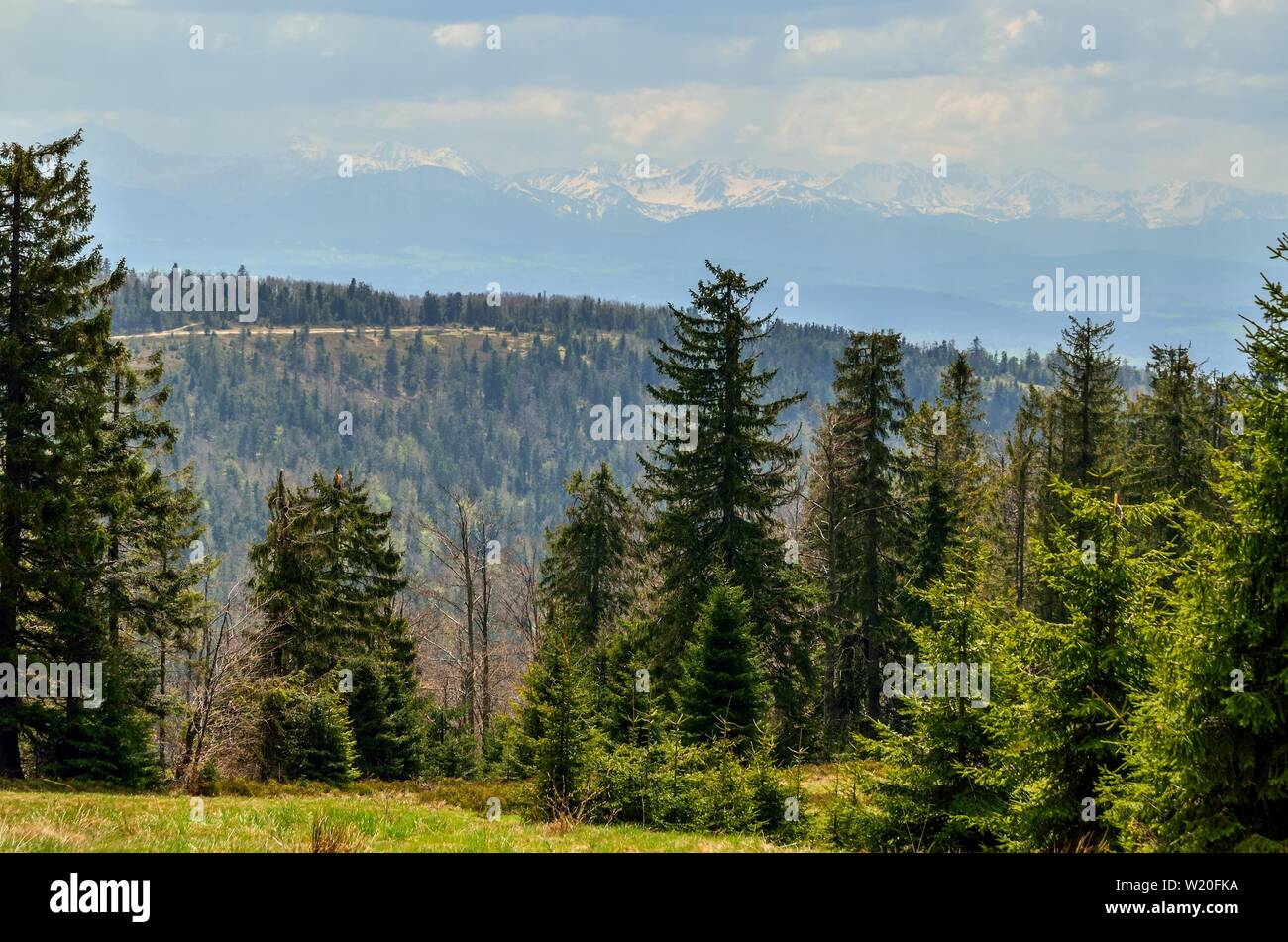 Beautiful mountain spring landscape. Beautifully snow-capped peaks of ...