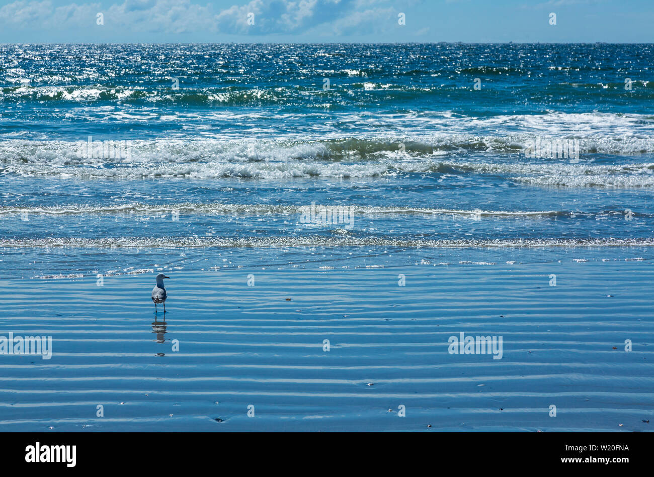 Paternoster Village, West Coast Peninsula, Western Cape province, South ...
